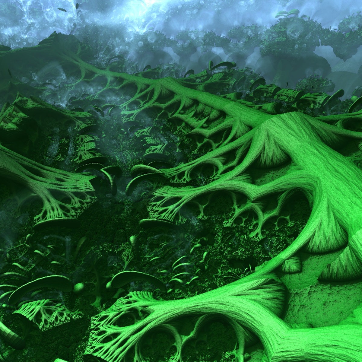 DLSEI - Specialization