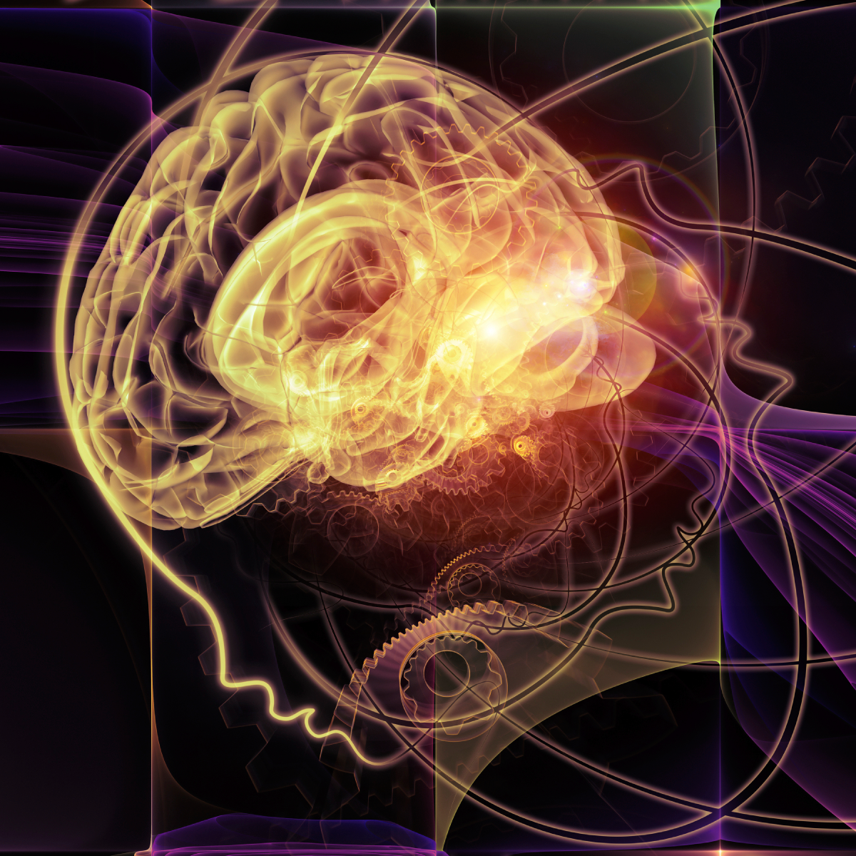 Certificate in The Addicted Brain | Coursera